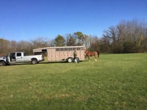 Waukesha County Parks Tour: Menomonee Park • Lake Country Family Fun