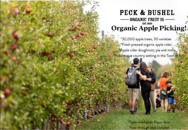 15 Wisconsin Apple Picking Orchards • Lake Country Family Fun