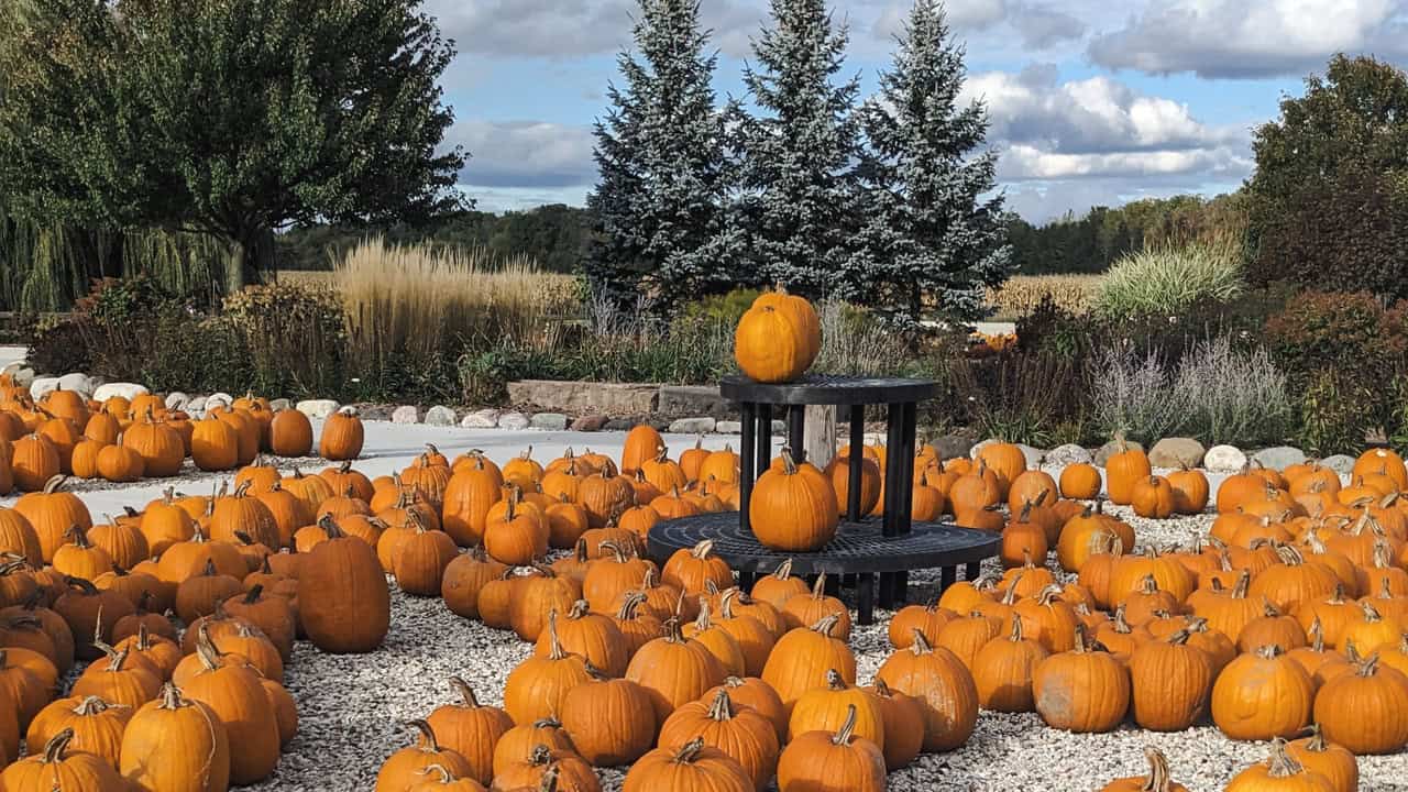 South East Wisconsin Pumpkin Farm Guide | Lake Country Family Fun