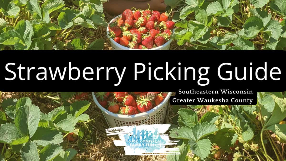 Go Pick Some Strawberries! Farms in Southeast Wisconsin